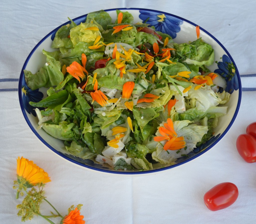 Blattsalat-Variationen - Regionale Rezepte
