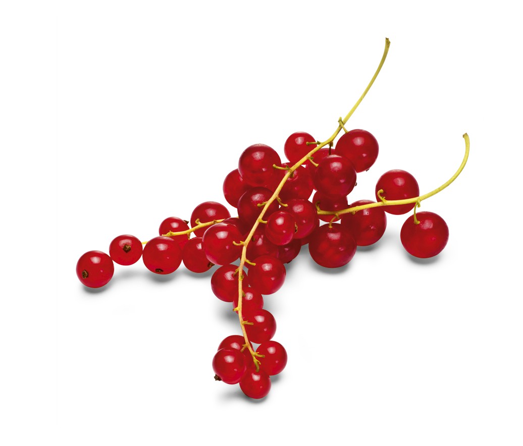 Ribisel-Himbeermarmelade - Regionale Rezepte