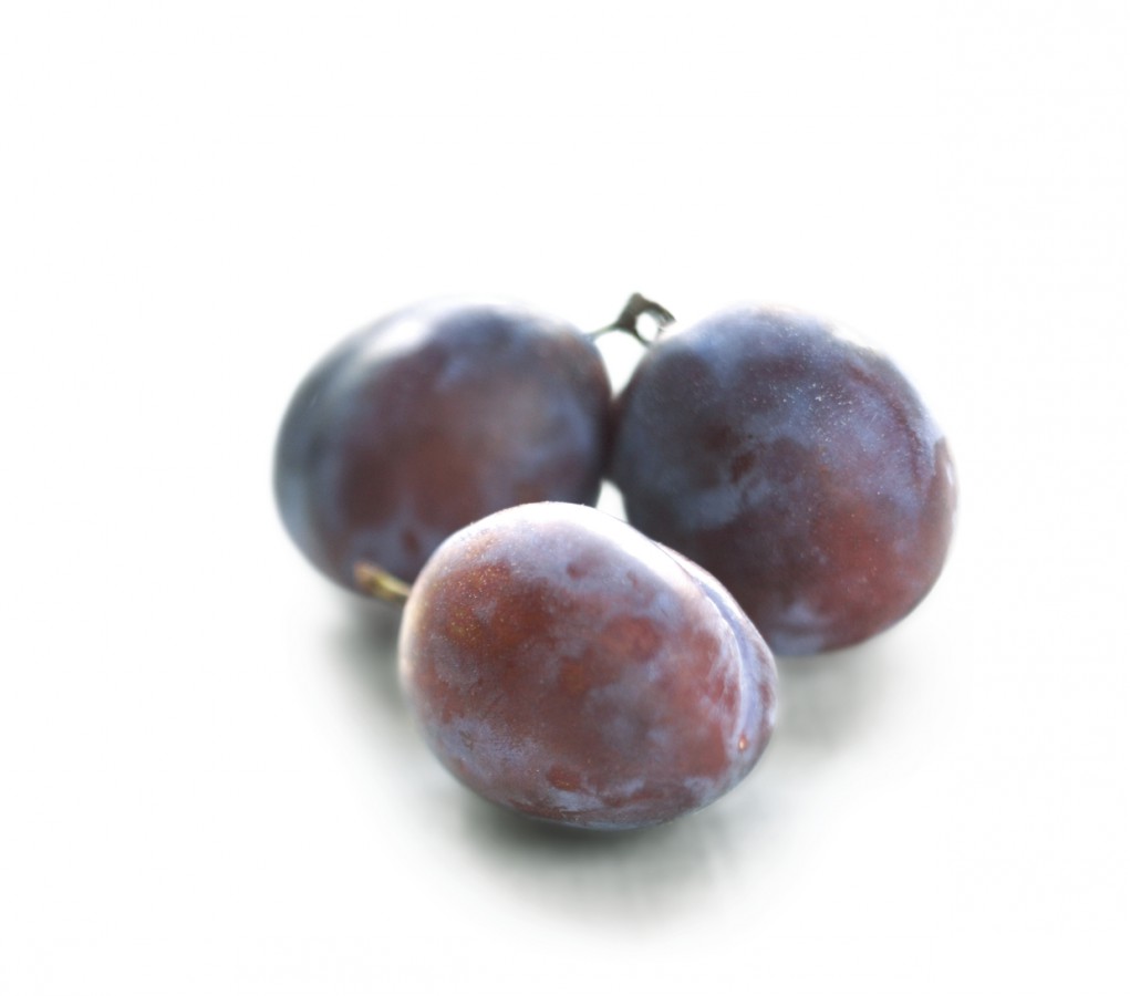 Holler-Zwetschken-Röster - Regionale Rezepte